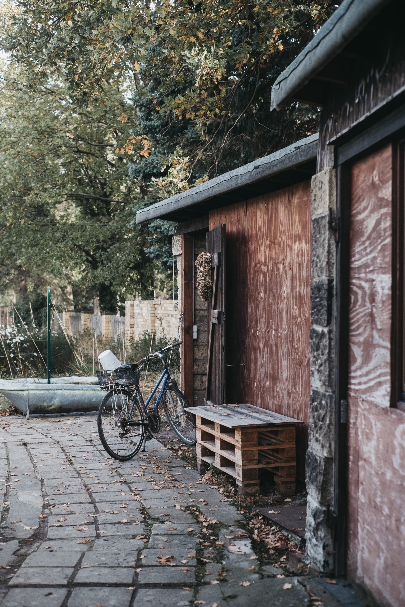 Erna Primula - Blumen & Saatgut für Schwäbisch Hall und deutschlandweit
