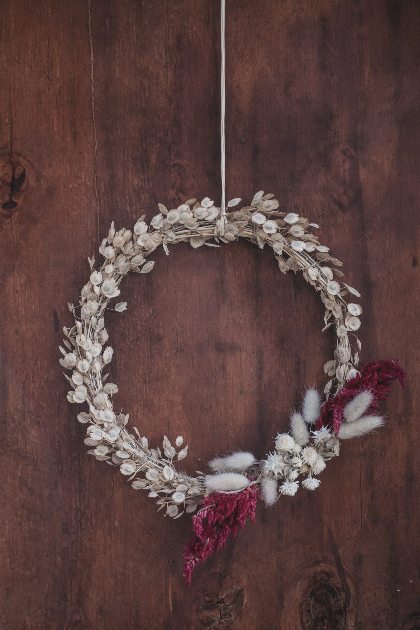 Erna Primula - Blumen & Saatgut für Schwäbisch Hall und deutschlandweit